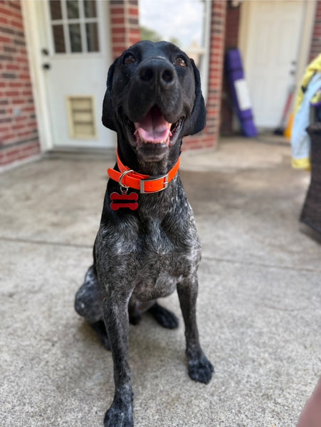 Texas GSP Rescue, 501C